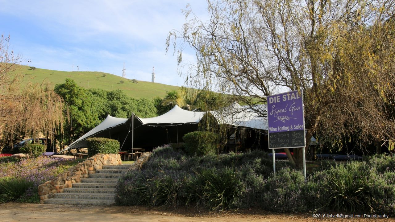 Signal Gun Wines - WineTourismZA South Africa