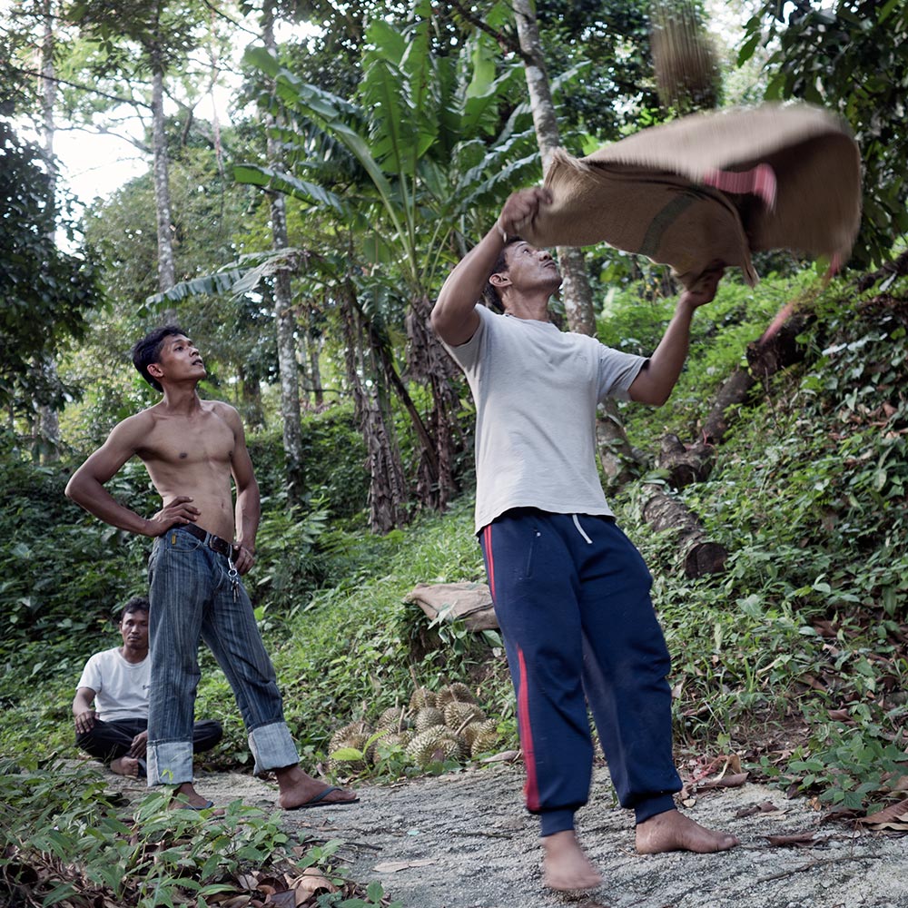 The Online Scum: Durian catching