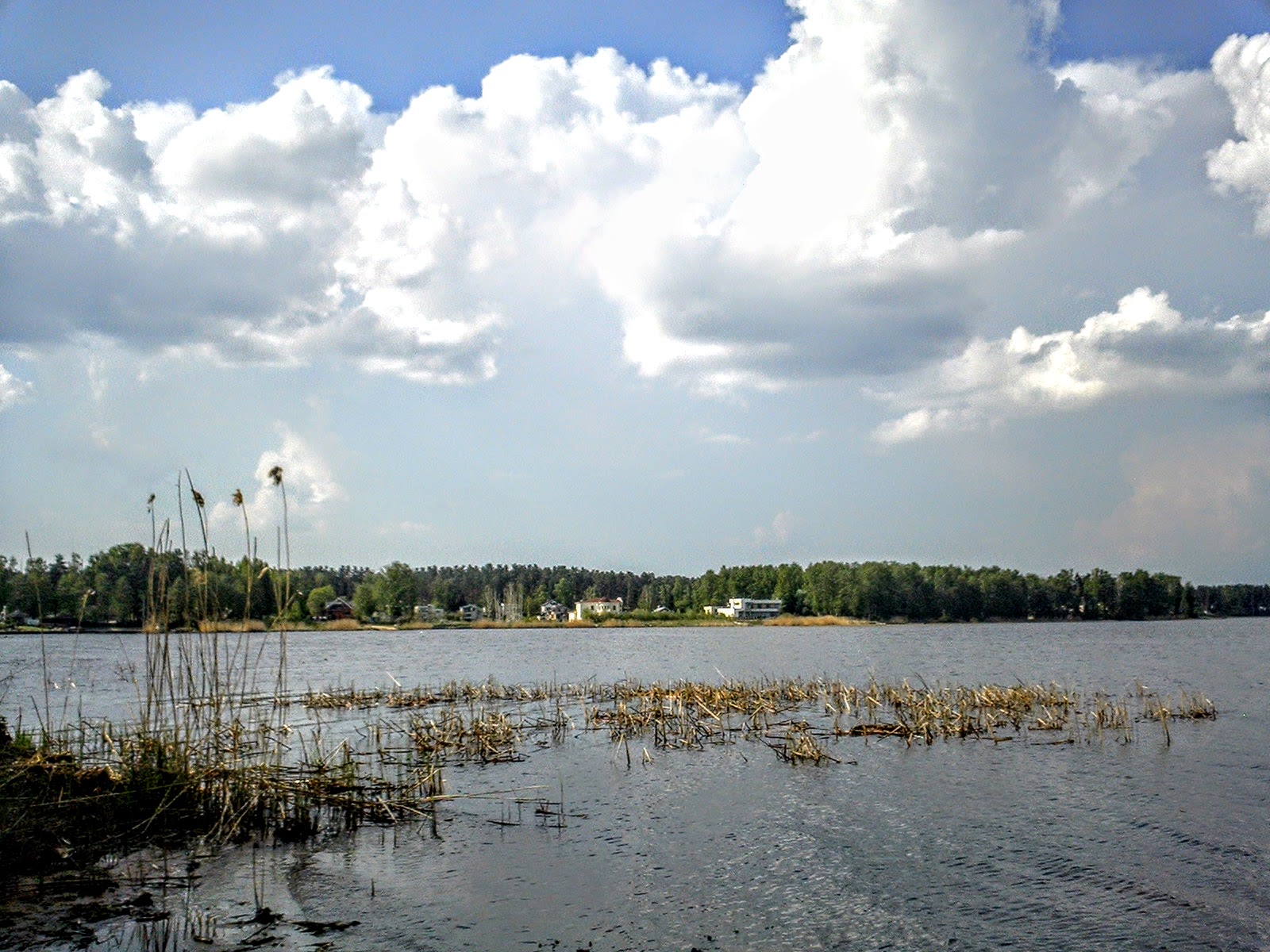 Bukulti - Pa nezināmiem ceļiem