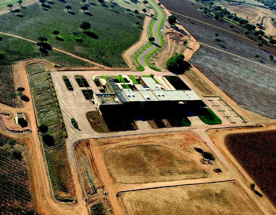 Rutas Enológicas: BODEGAS CARABAL