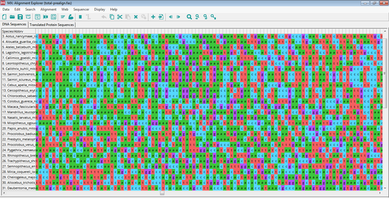 Como usar o bioedit - couturesapje