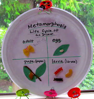 Learn To Grow: Metamorphosis Paper Plate and Pasta Craft