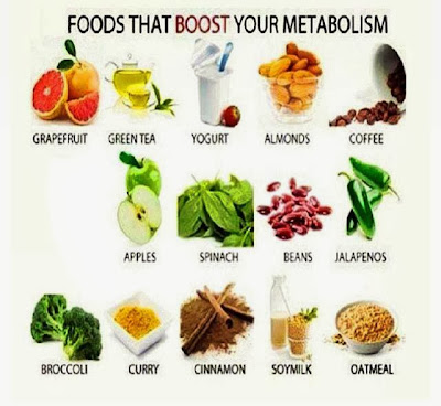 ShowMe Nan: Foods That Boost Your Metabolism