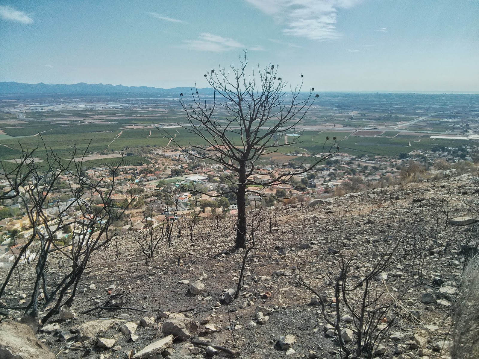Ruta Cuarentaitantos: Cumbres de calicanto