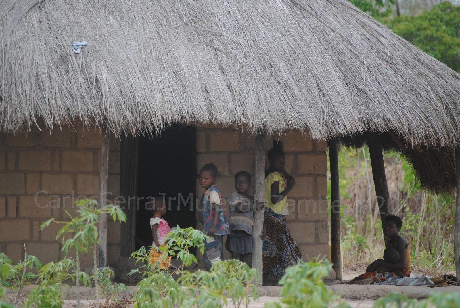 Diário de um sociólogo: Uma viagem ao distrito de Mulevala (Zambézia) (8)