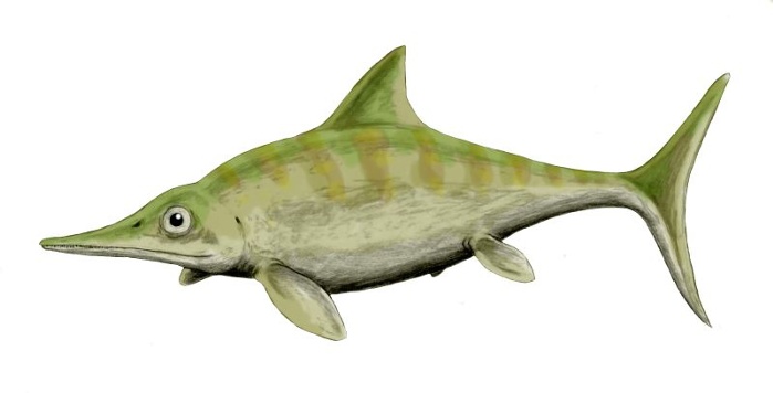 Fauna Prehistorica: OPHTHALMOSAURUS