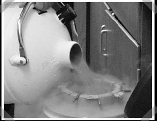 Uma Química Irresistível: O que é o azoto líquido?