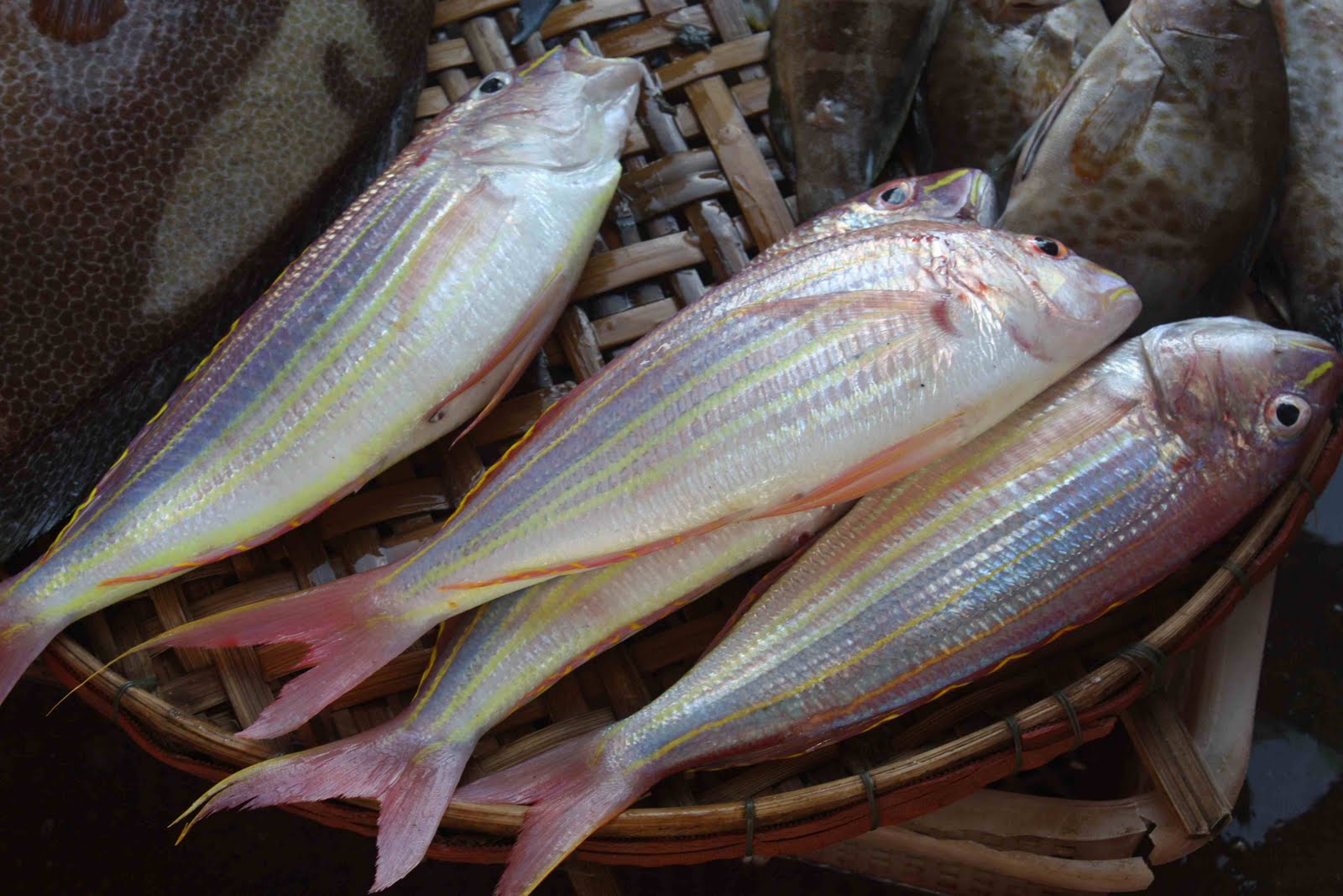 The World Tastes Good: Weekend Escape to Dong Hoi