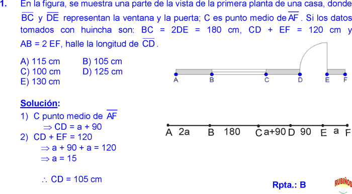 Segmentos problemas resueltos