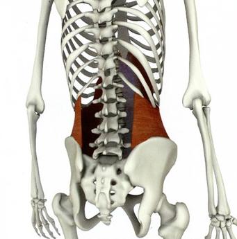 La Boutique Del Fitness: COME AVERE LA PANCIA PIATTA...