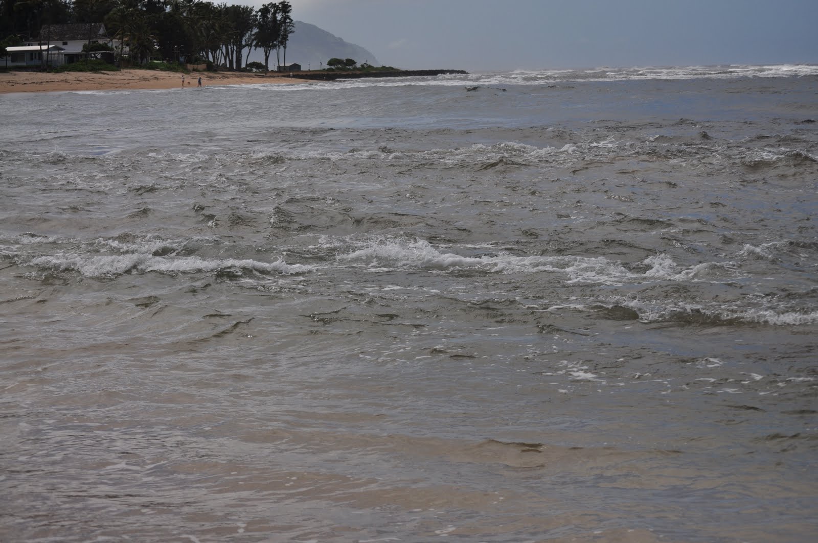 Haleiwa Surf Condos: 3-11-11 Tsunami