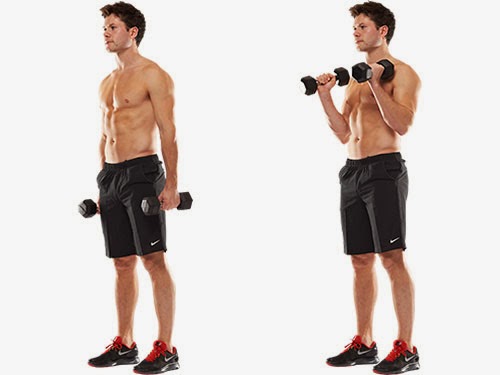 5 Best Biceps Exercises For Fast Growth Body Building Craze