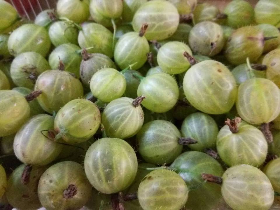 ORB IN LUMEA SURZILOR: 06/01/2018 - 07/01/2018