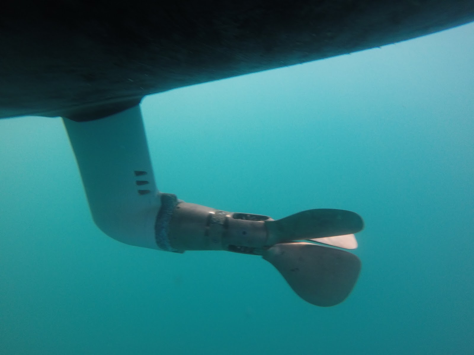 K'Gari. Voyage of adventure , to the horizon and beyond ...