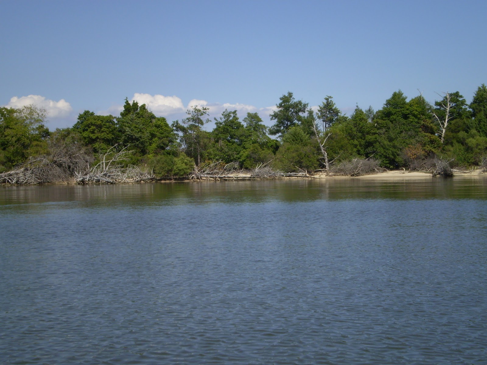 When in the Northern Neck: Northern Neck Water Trails: Currioman Bay ...