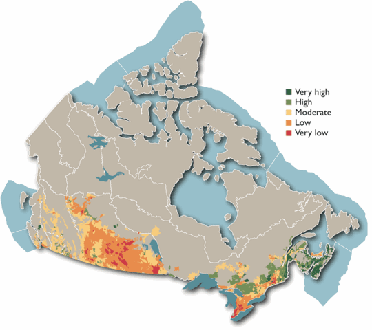 Christopher Moore's History News: Place to stand