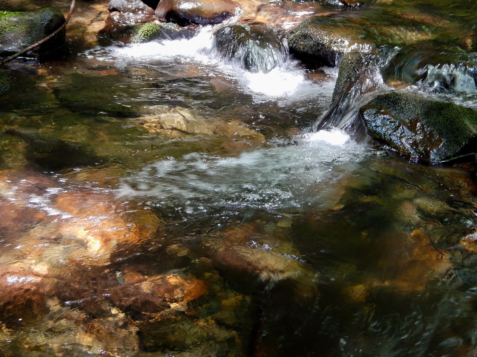 Small Stream Reflections: June 2015