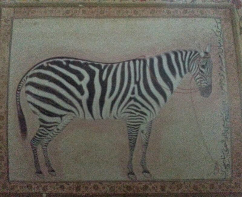 Mughal Paintings: A Zebra