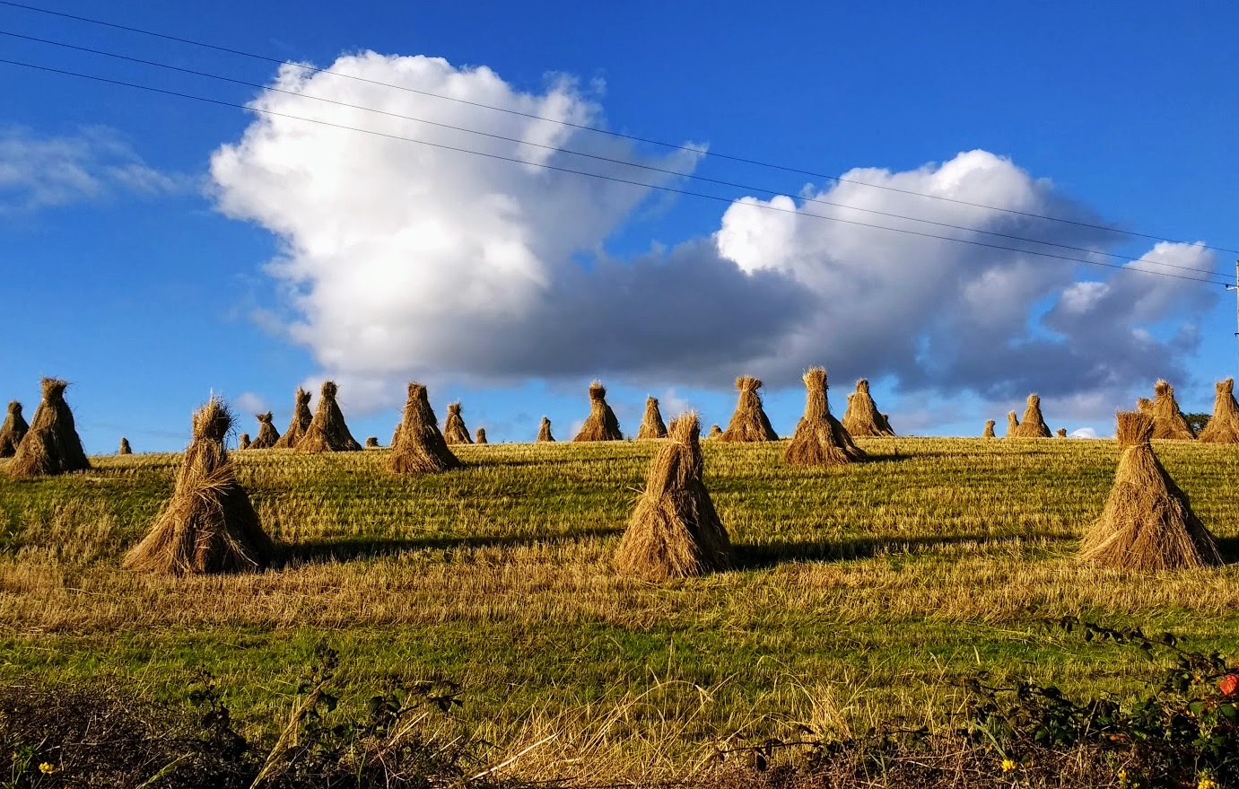 A Passion For Cards: Haystacks in Donegal