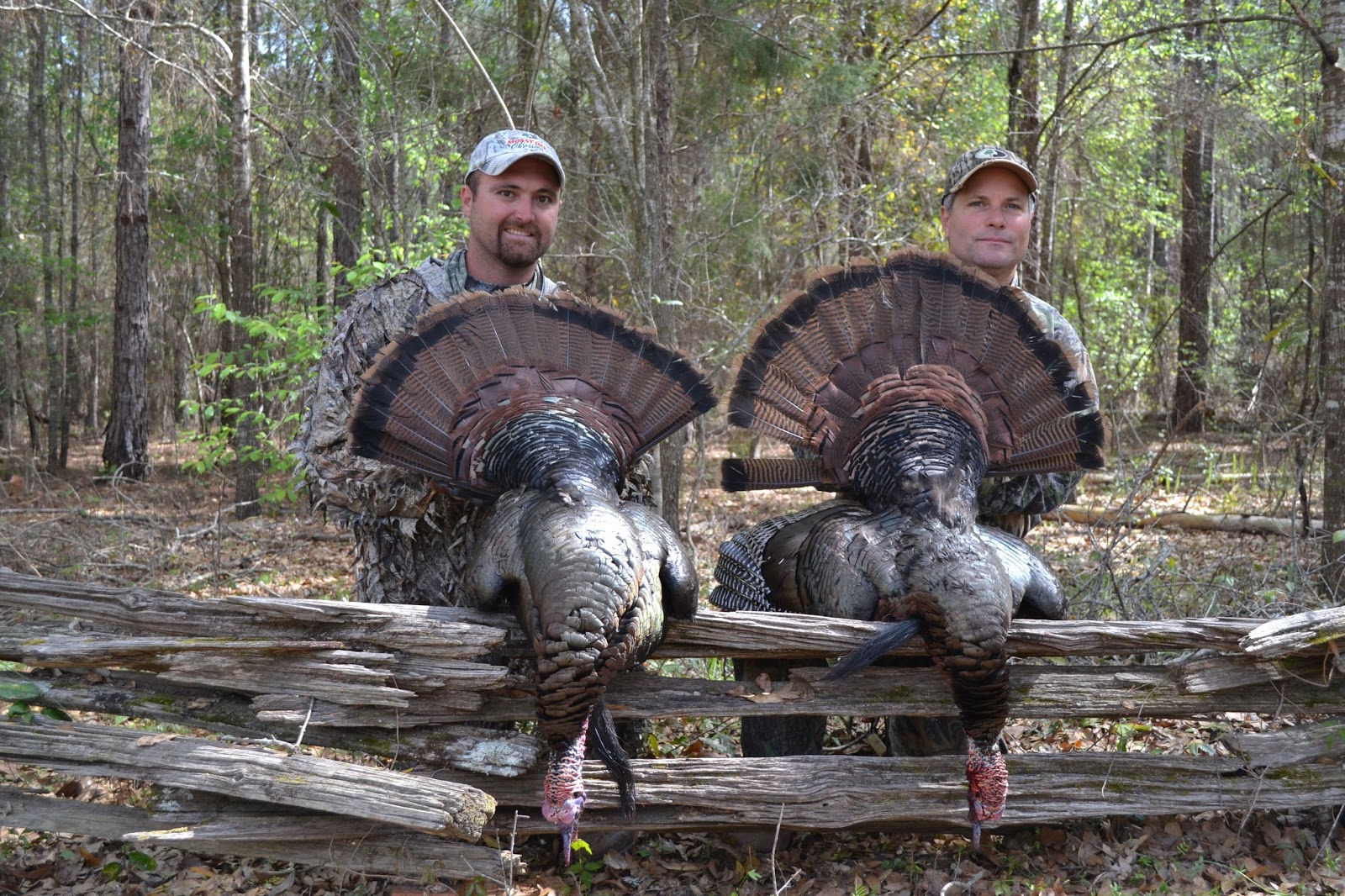 The Wild Life: Wild Turkey