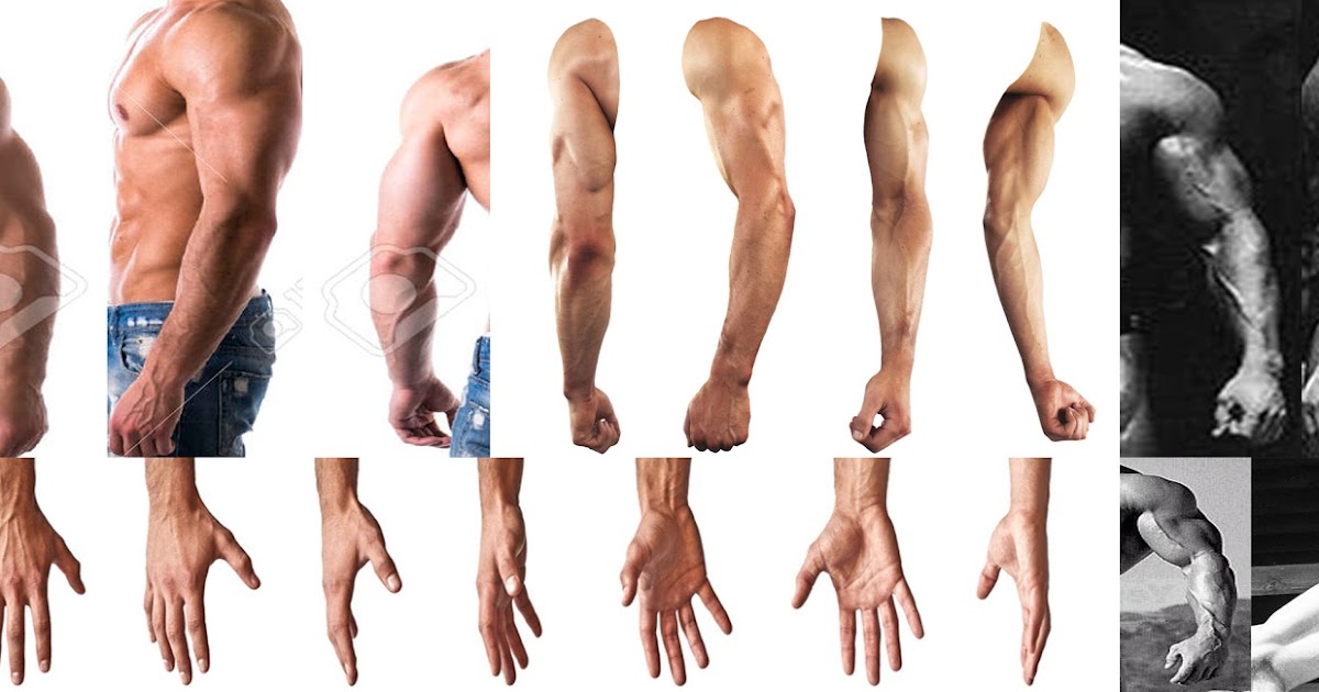 Timothy Marino's Blogs: Modeling a Detailed Human Arm Preproduction