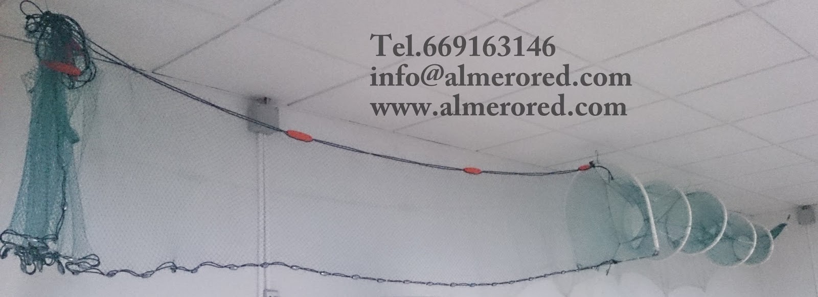 NASAS ANGUILERAS - Almerored