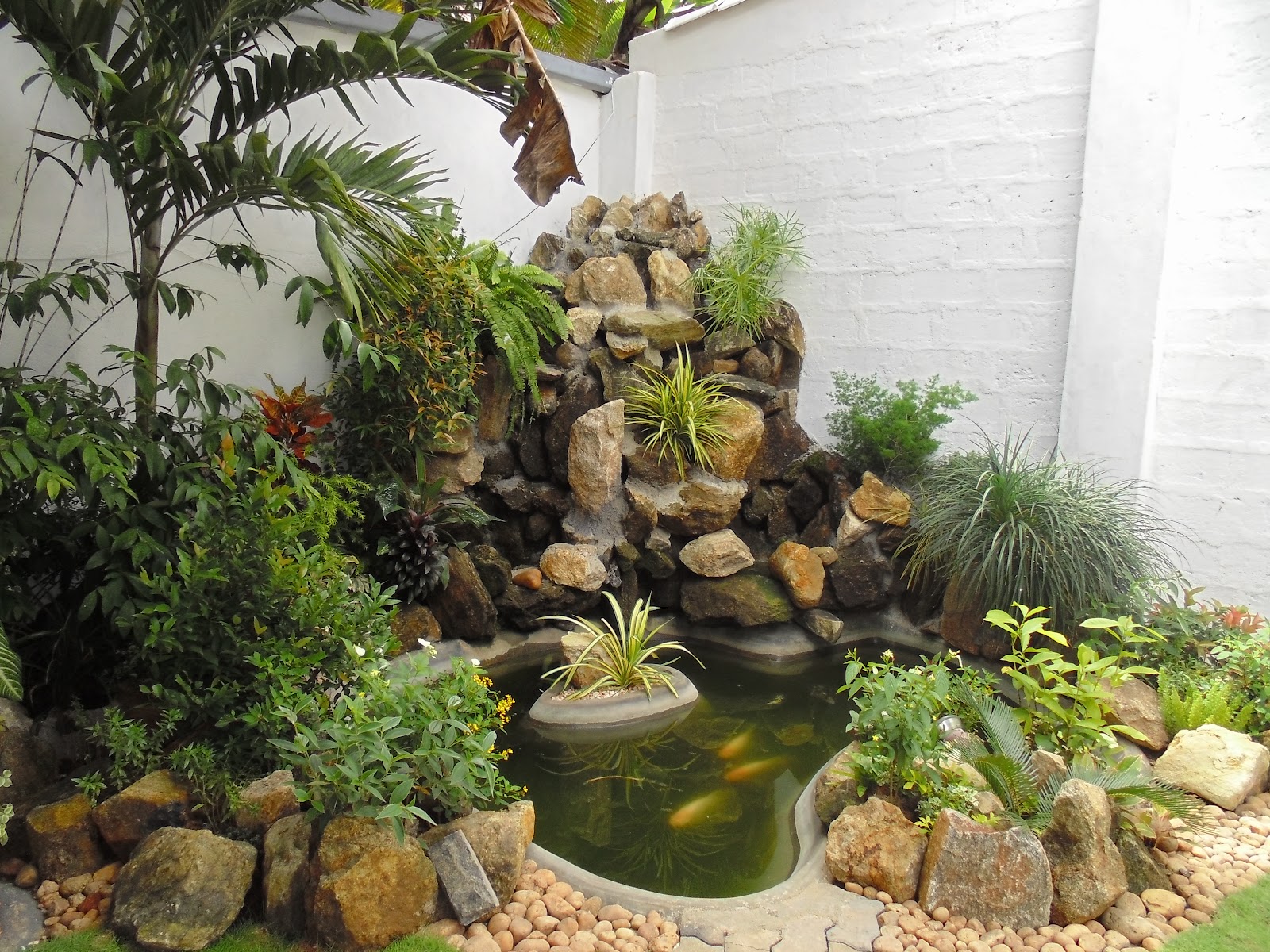 Lassana Midula Garden Service: Lassana Midula Garden Service