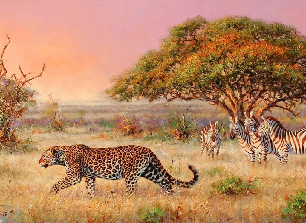 Paisajes animales salvajes - Imagui