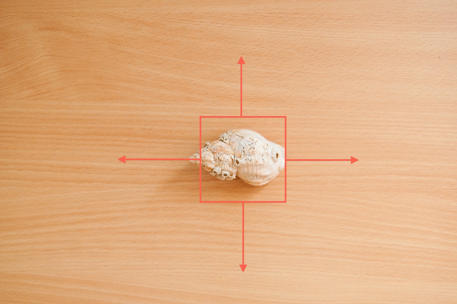 Photography: Dividing the frame - Balance