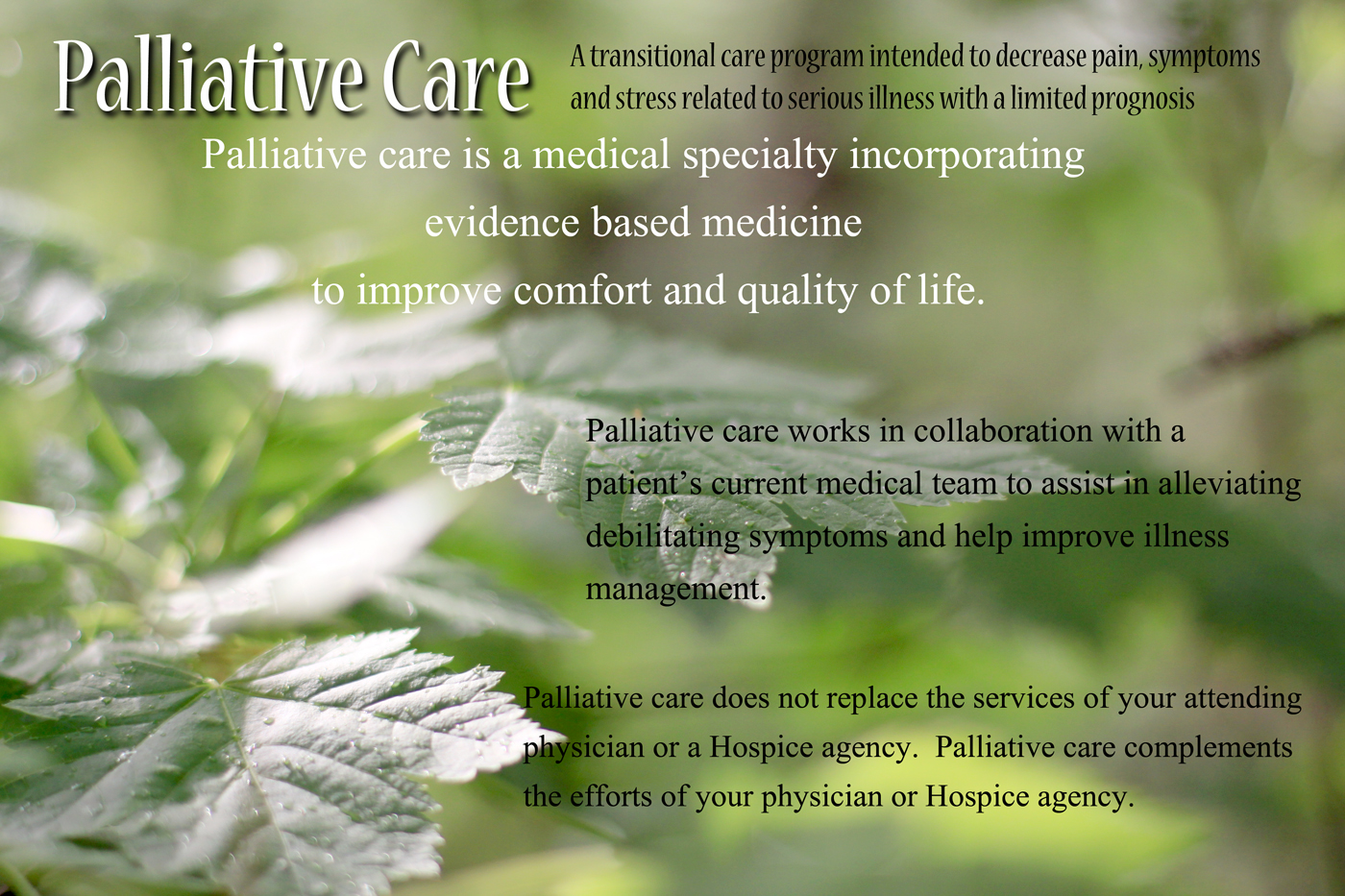 Beehive Homes Assisted Living Palliative Care beehive-homes-assisted-living-palliative-care