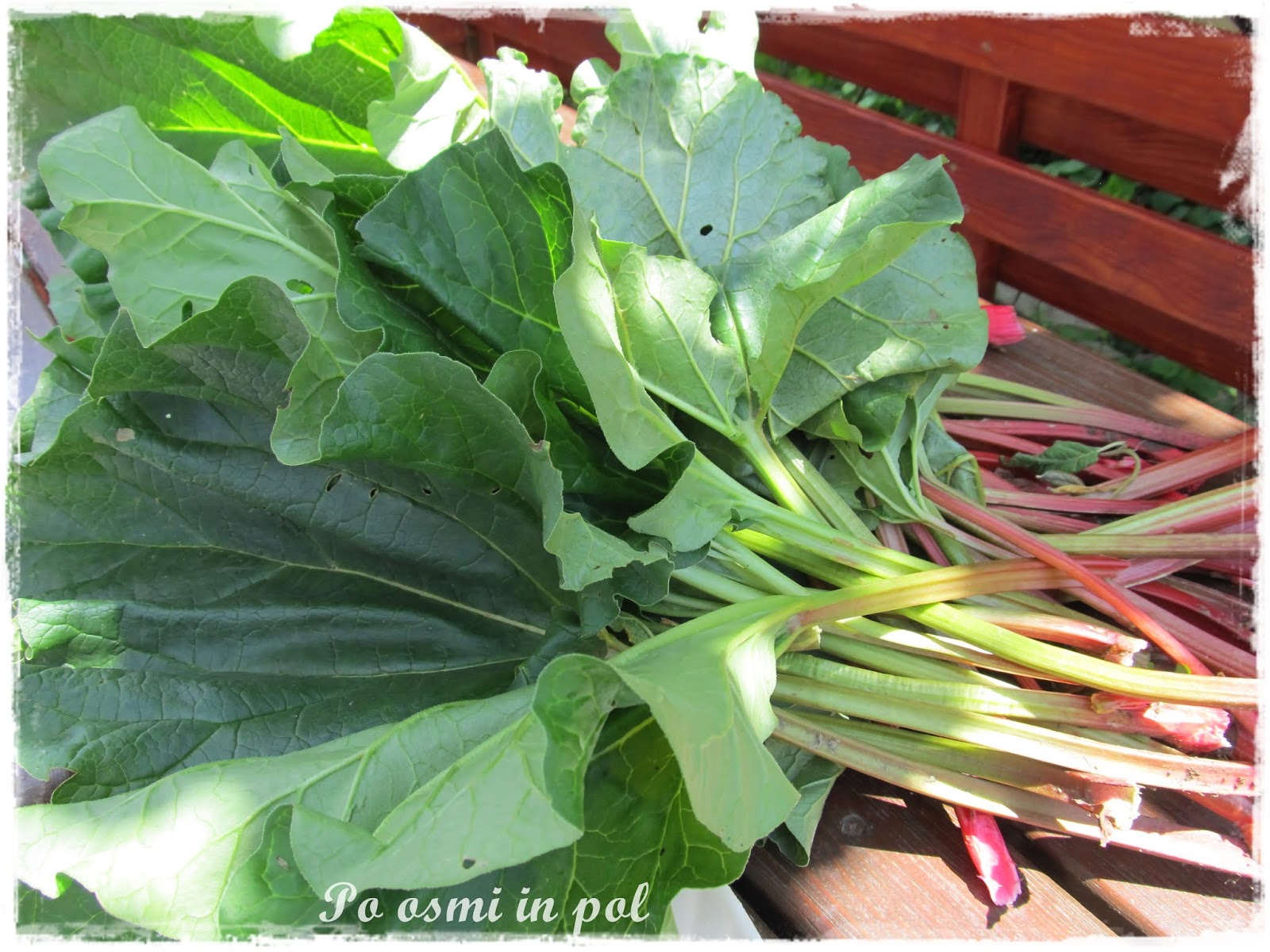 po osmi in pol: Rabarbara v kuhinji & vrtu