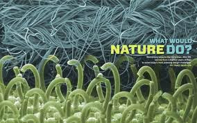 Biomimetics - What Is It All About? - Universal Science Compendium