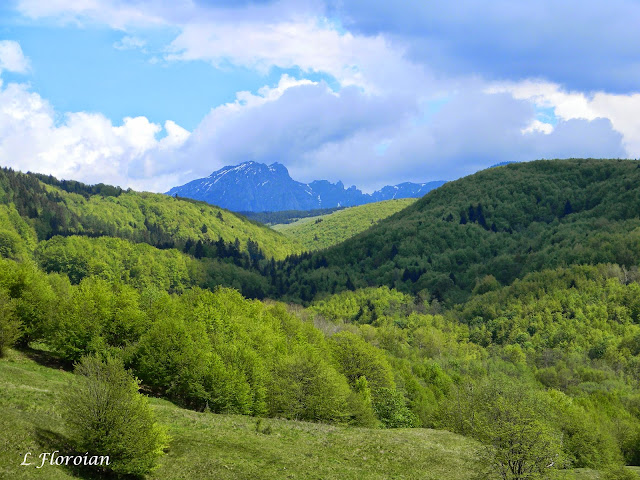 Blog de Calatorii si Drumetii Montane.: Drumetie pe dealurile de langa ...
