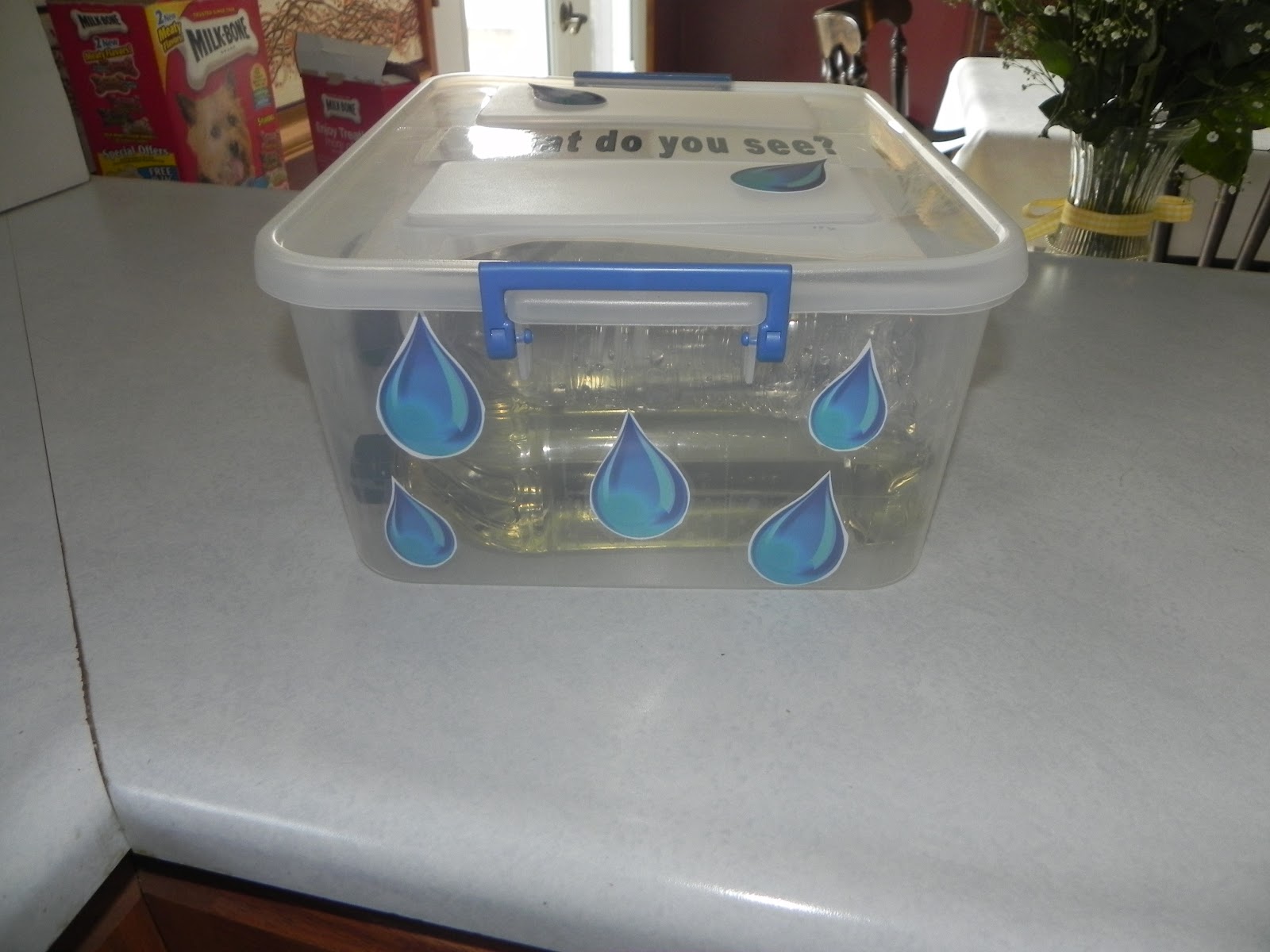 Our Science Adventures: What do you see prop box- Lesson plan