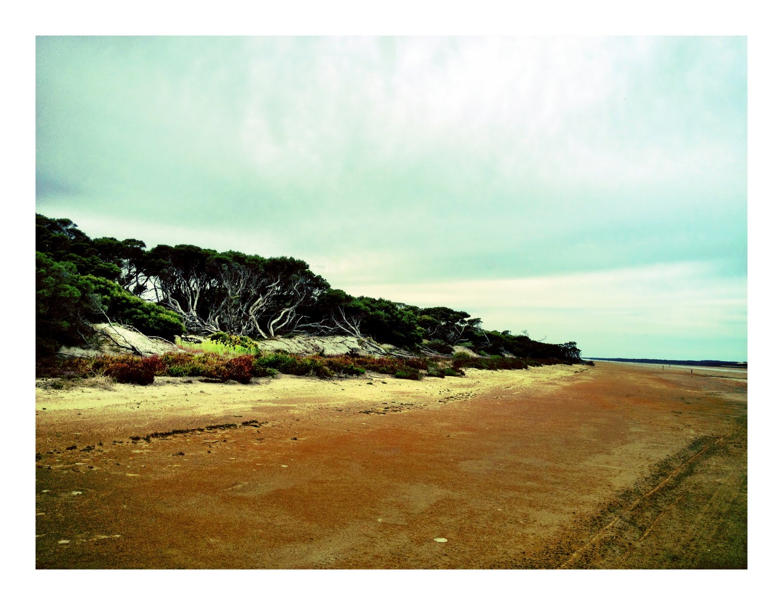 little-scale: Tea Tree Crossing, South Australia