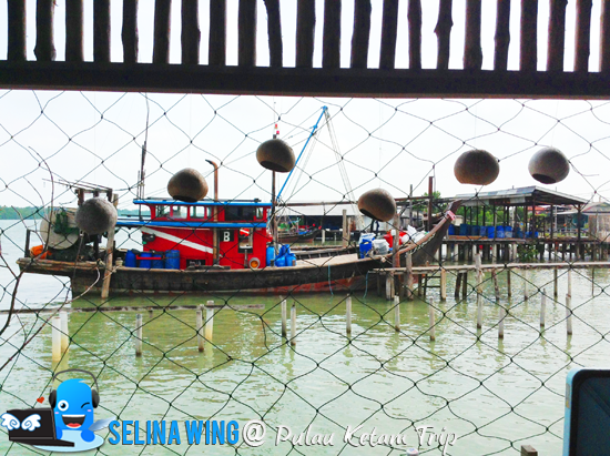 My Sight-seeing to Pulau Ketam - A Trip Day of Crab Island, Malaysia
