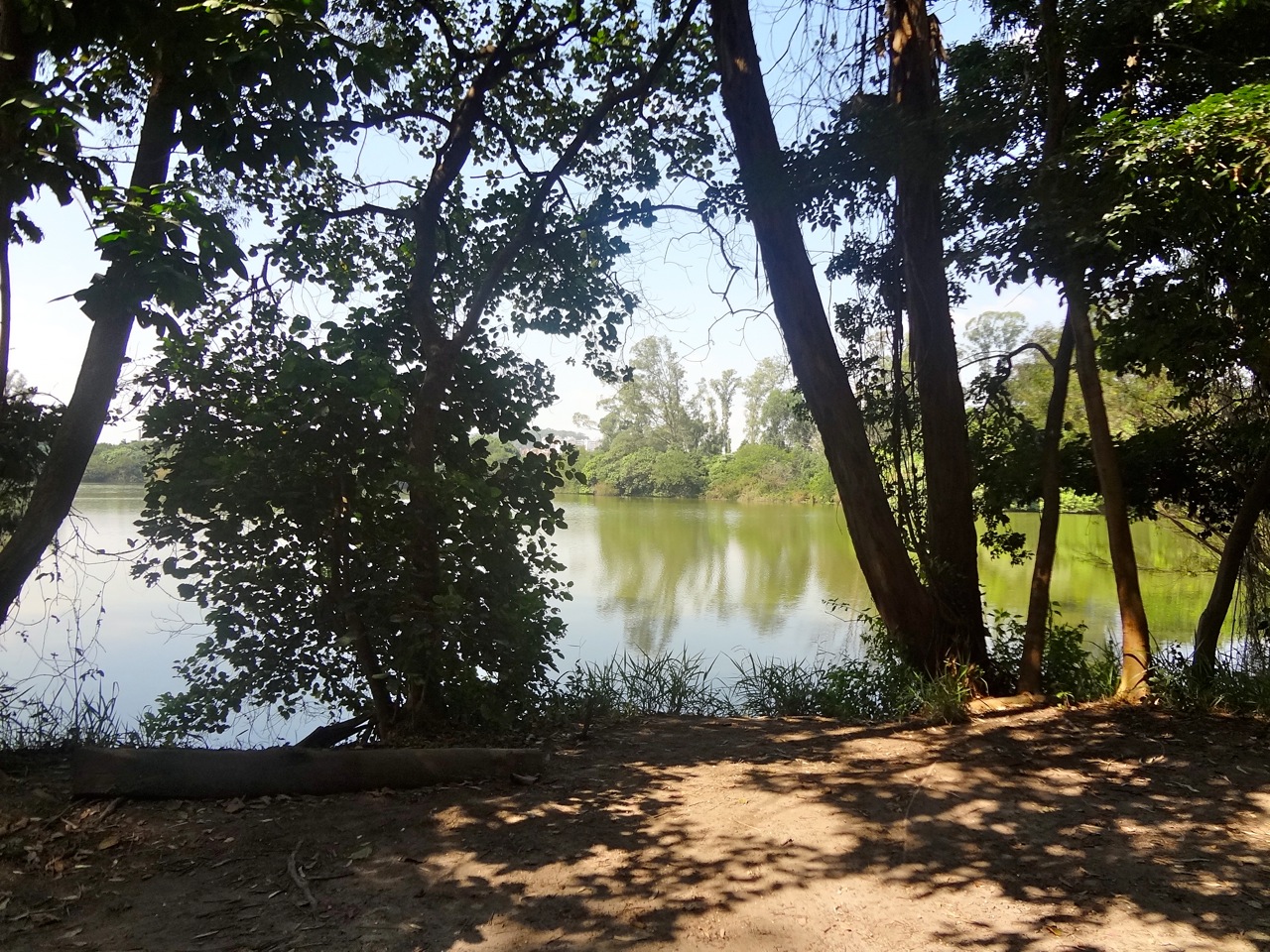 Parque Ecológico do Tietê_Núcleo Engenheiro Goulart em São Paulo ...