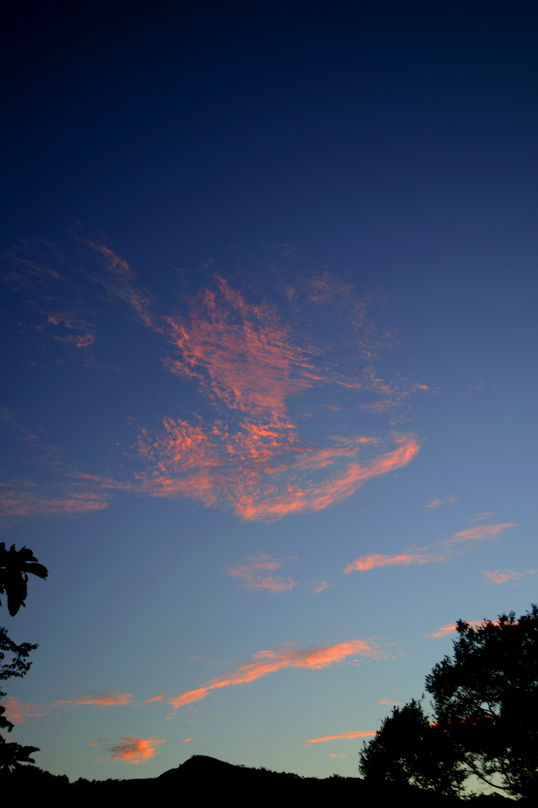 Delicate Color Sunset