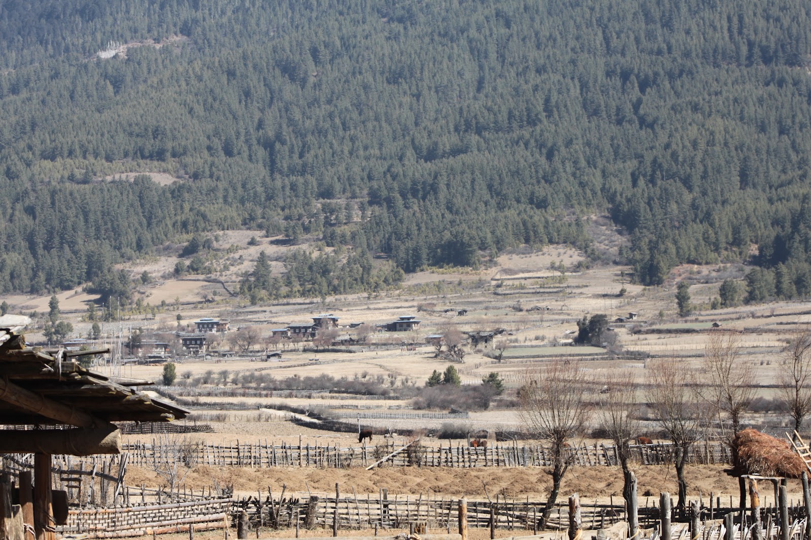 TRAVELLING THROUGH BHUTAN-BUMTHANG