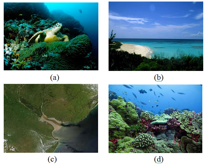 SCIENCE EDUCATION: BIODIVERSITAS