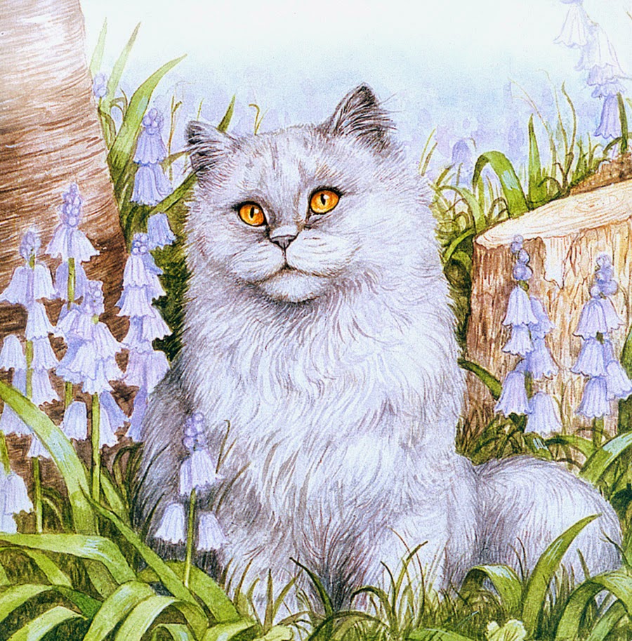 Fine Art : Artworks by Debbie Cook