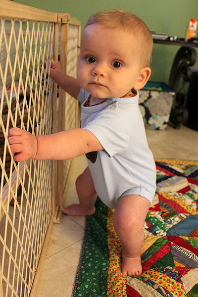 Pro Educational Toys: How Can I Get My Baby to Stand and Walk? by ...