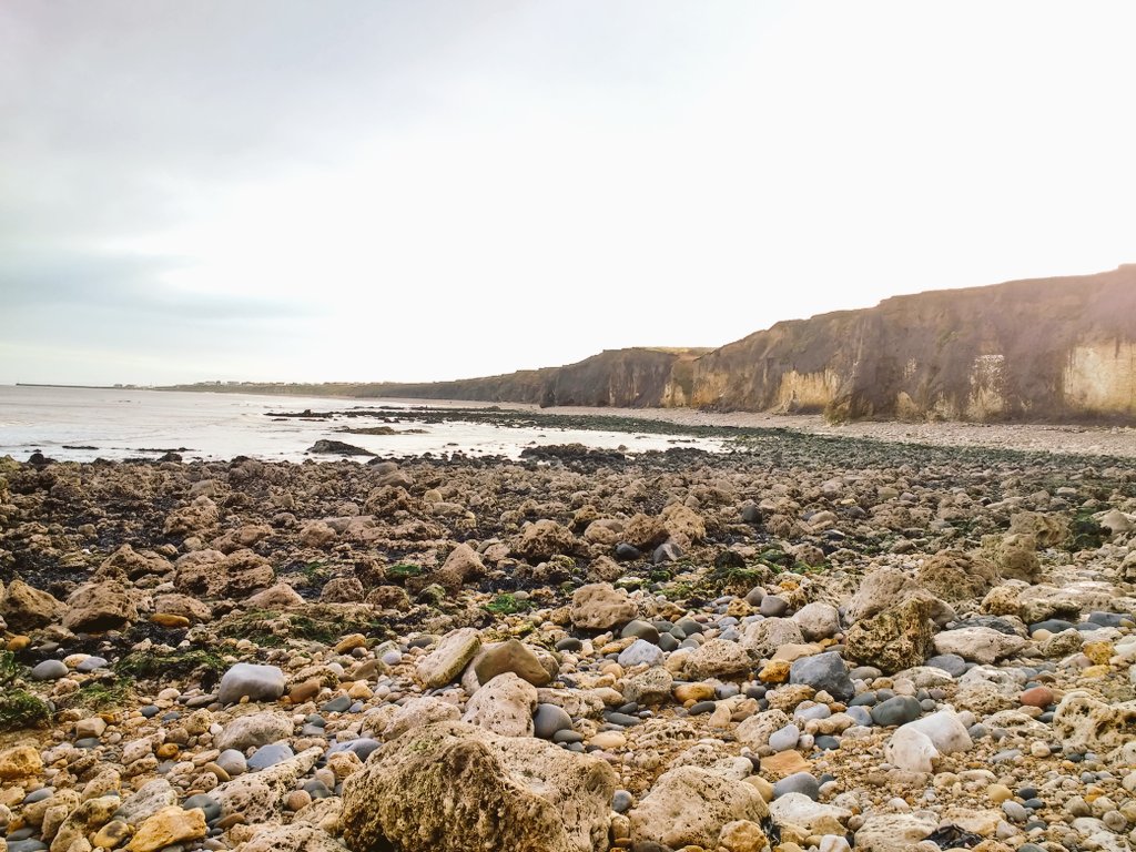Life's A Beach. The Driftwood Lectures... : 25 NOVEMBER 2017, SEATON ...