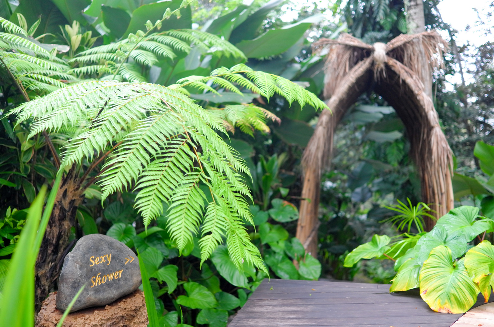 Breakfast at Bali's beautiful Sandat Glamping Tents is worth rising for ...