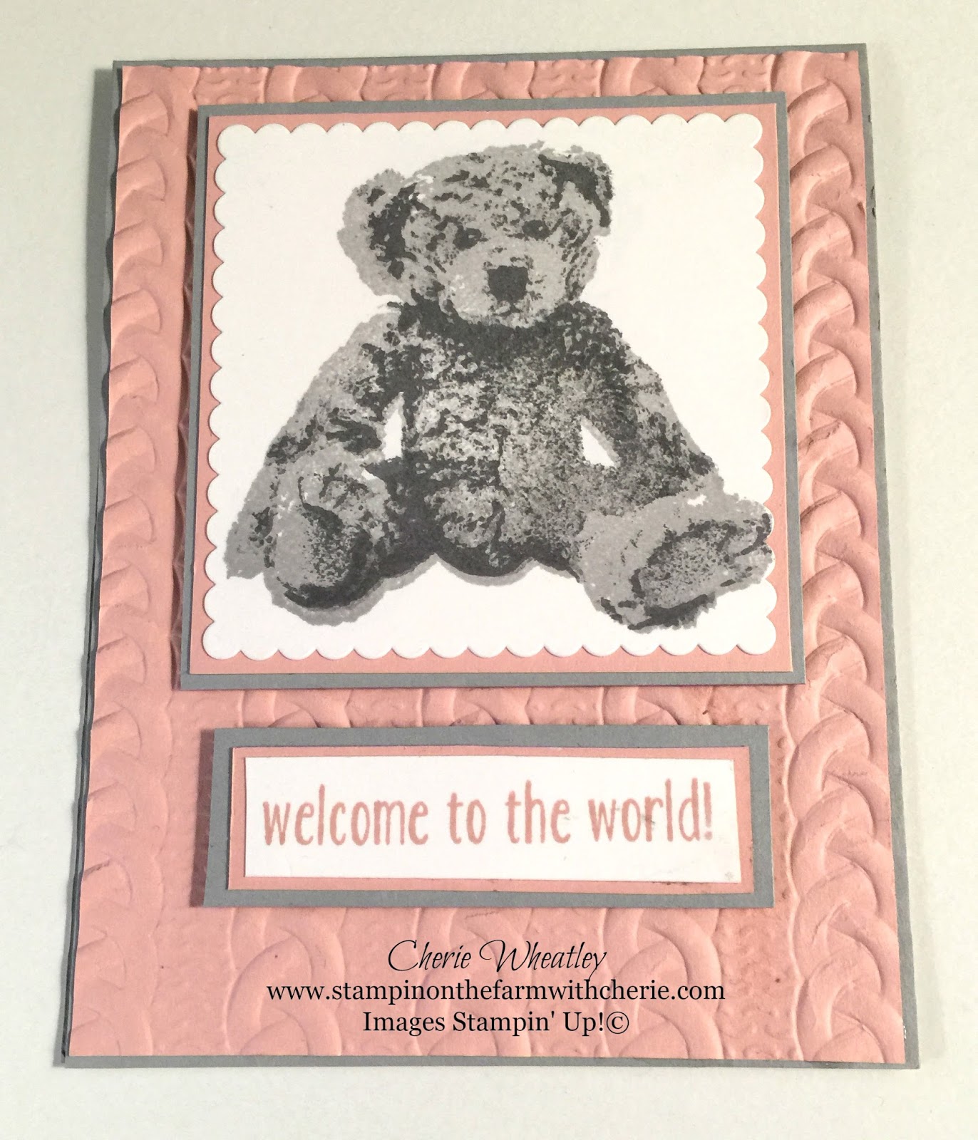 Stampin on the Farm with Cherie: Baby Bear and Cable Knit Dynamic ...