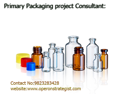 Primary packaging project consultant