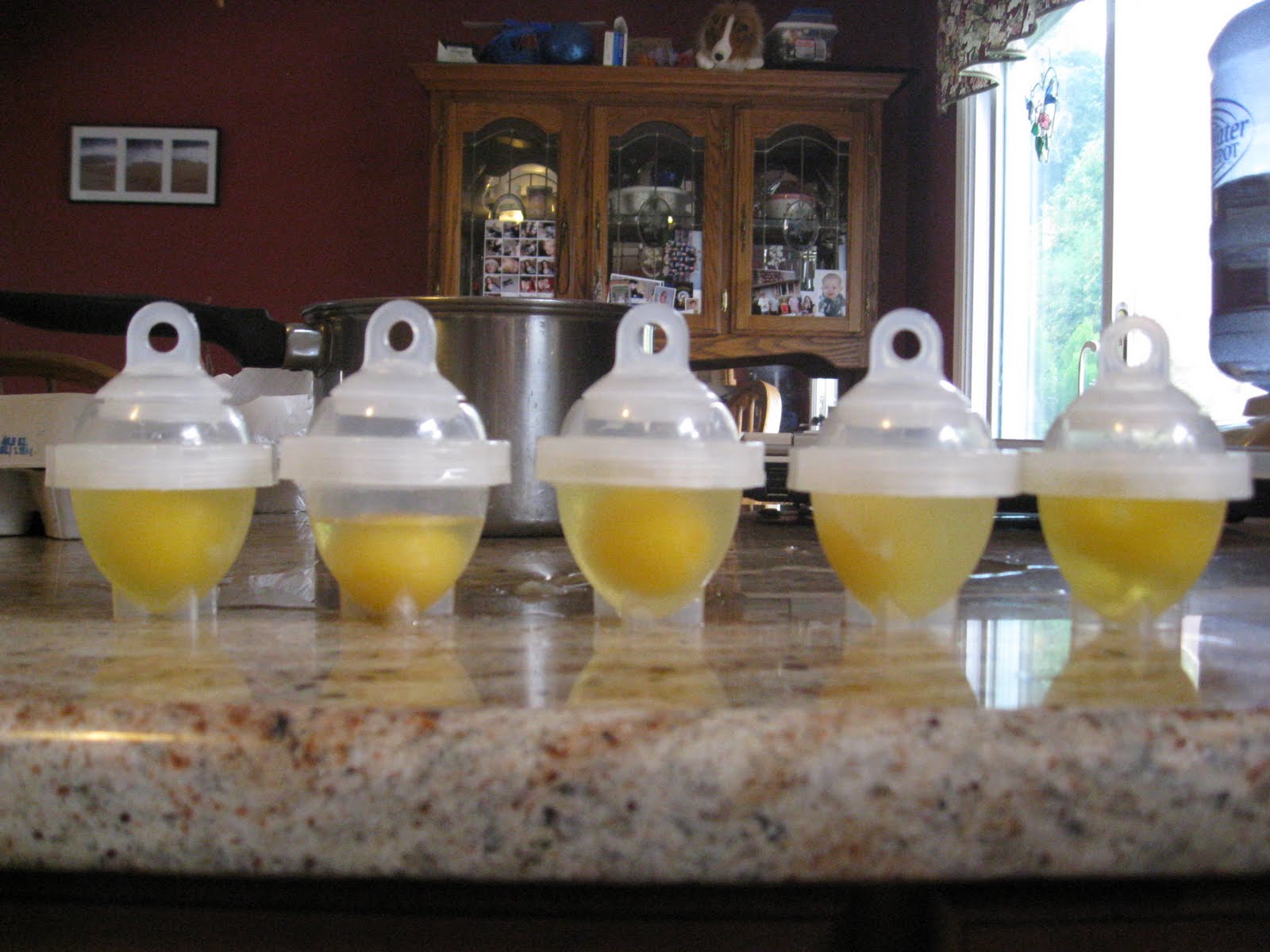 NamesOnTheJerseyShore: Eggies, a moms review!