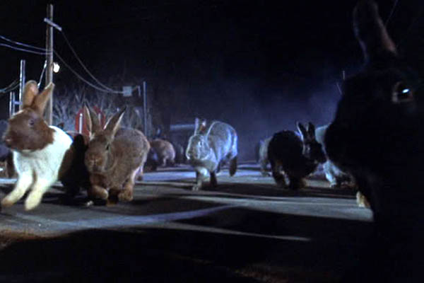 Plan 9 Crunch: All About Cult Films: Easter brings the best giant ...