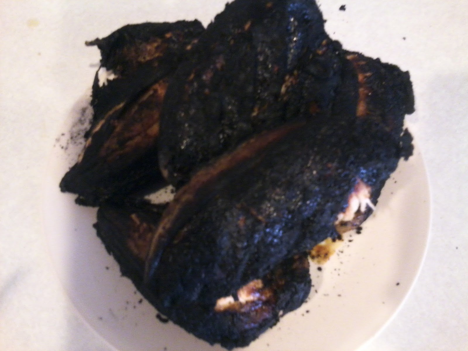 sheila dougal- a woman found: Burned chicken, my story and Israel