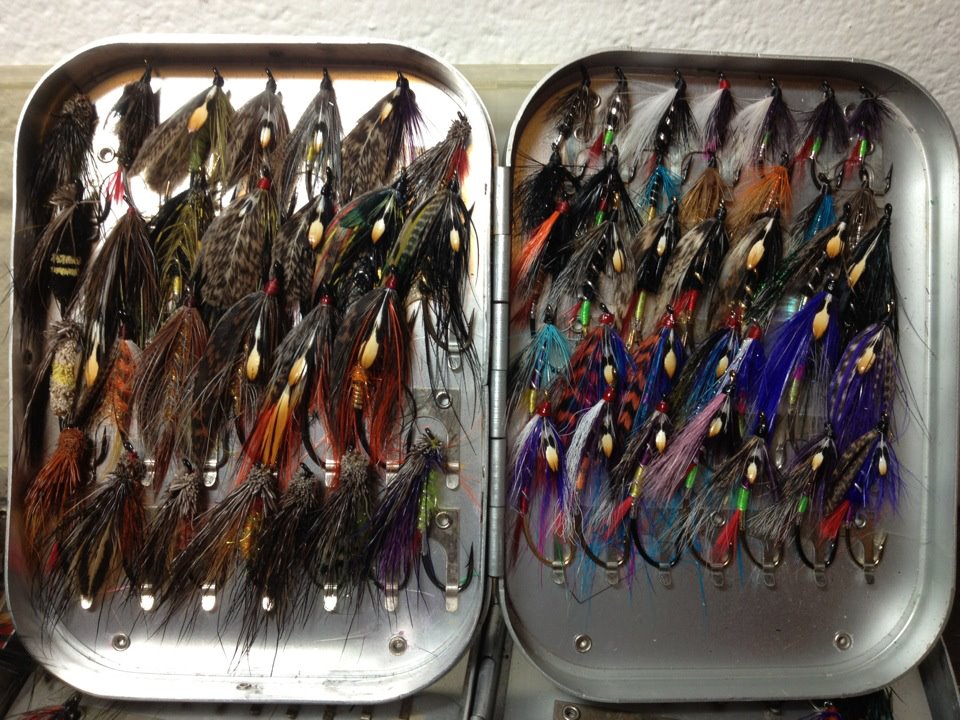 The HeadHunter: Wet-Fly Selection for Summer Steelhead
